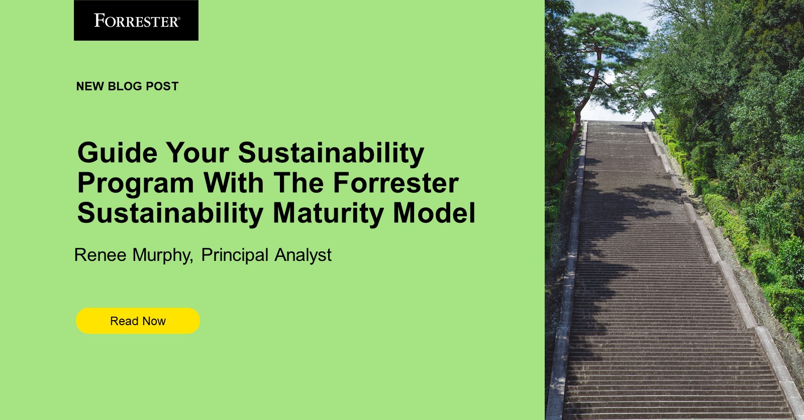 Guide Your Sustainability Program With The Forrester Sustainability ...