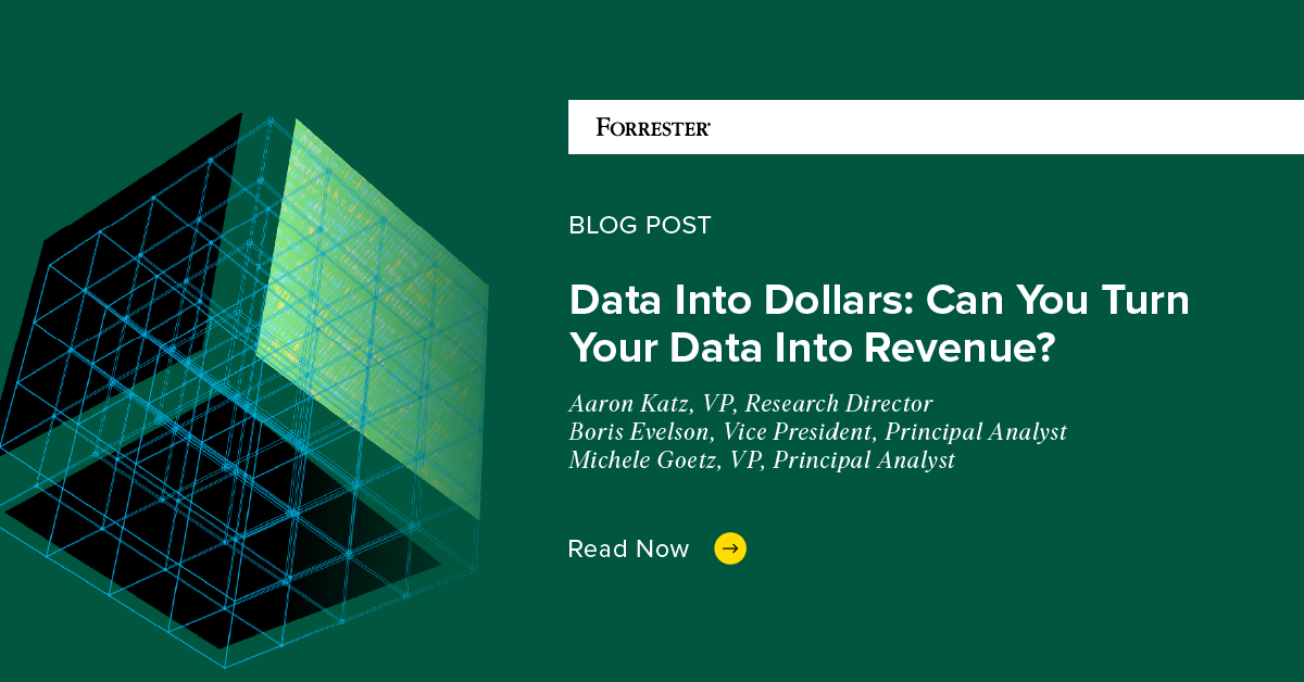 Data Into Dollars: Can You Turn Data Insights Into Revenue?