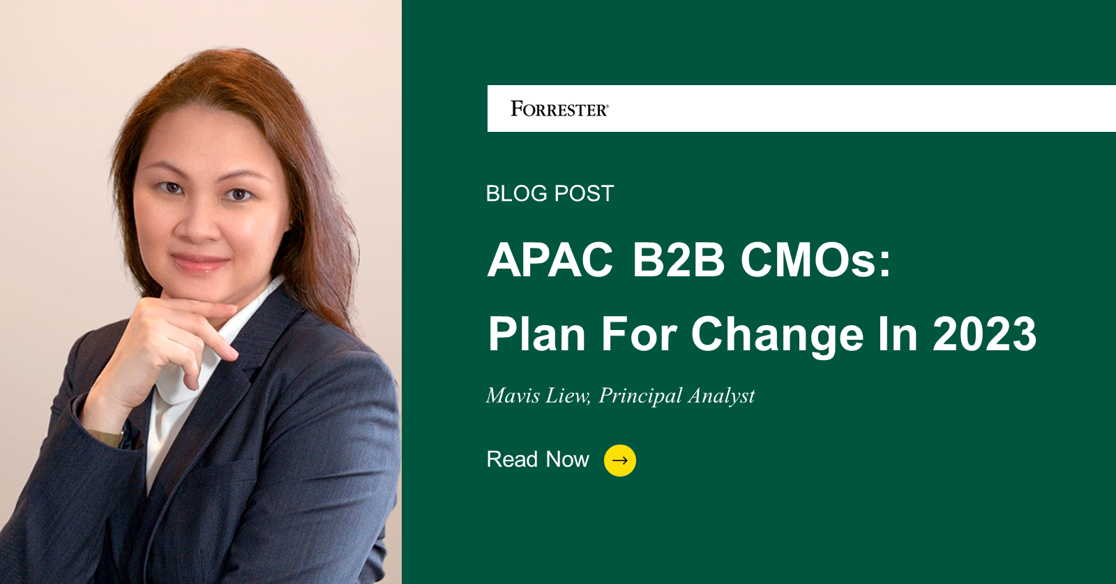 APAC B2B CMOs: Plan For Change In 2023