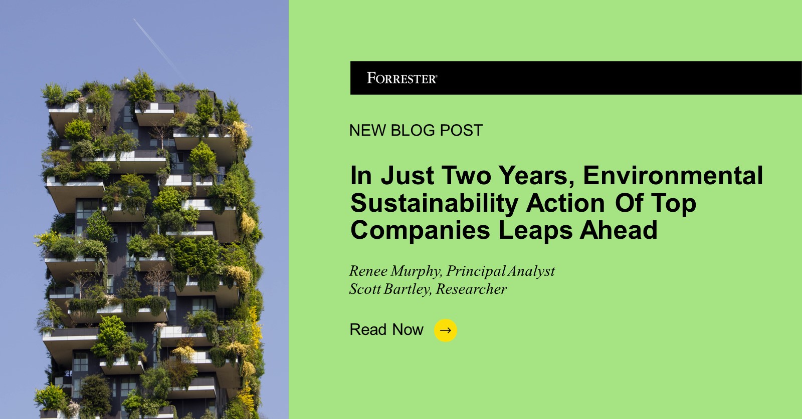 In Just Two Years, The Environmental Sustainability Action Of Top ...