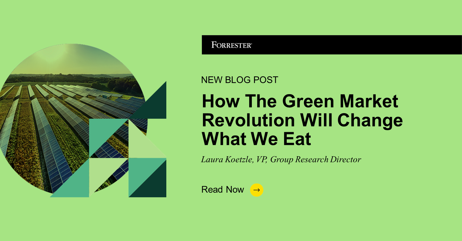 How The Green Market Revolution Will Change What We Eat