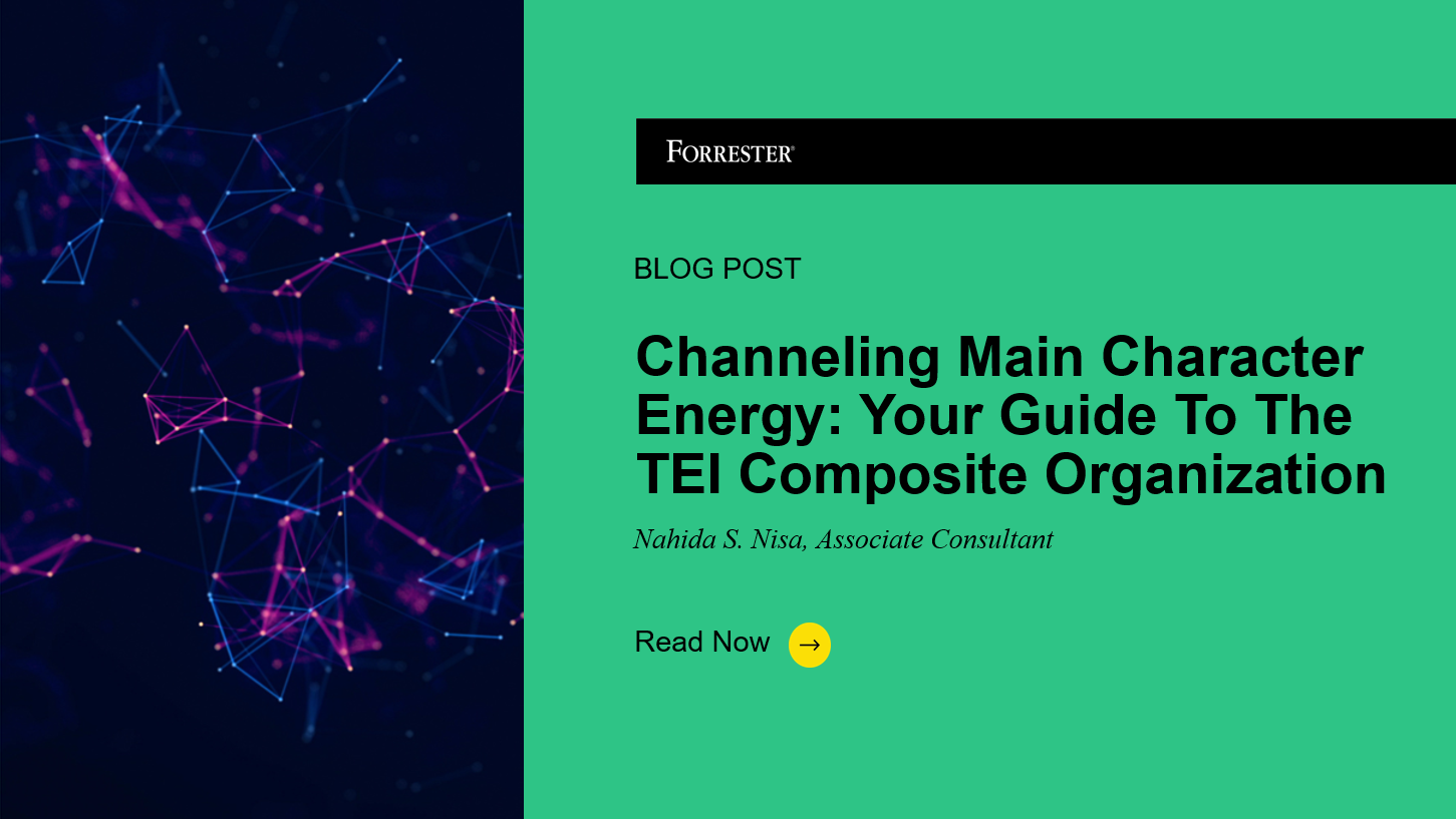 Your Guide To The TEI Composite Organization