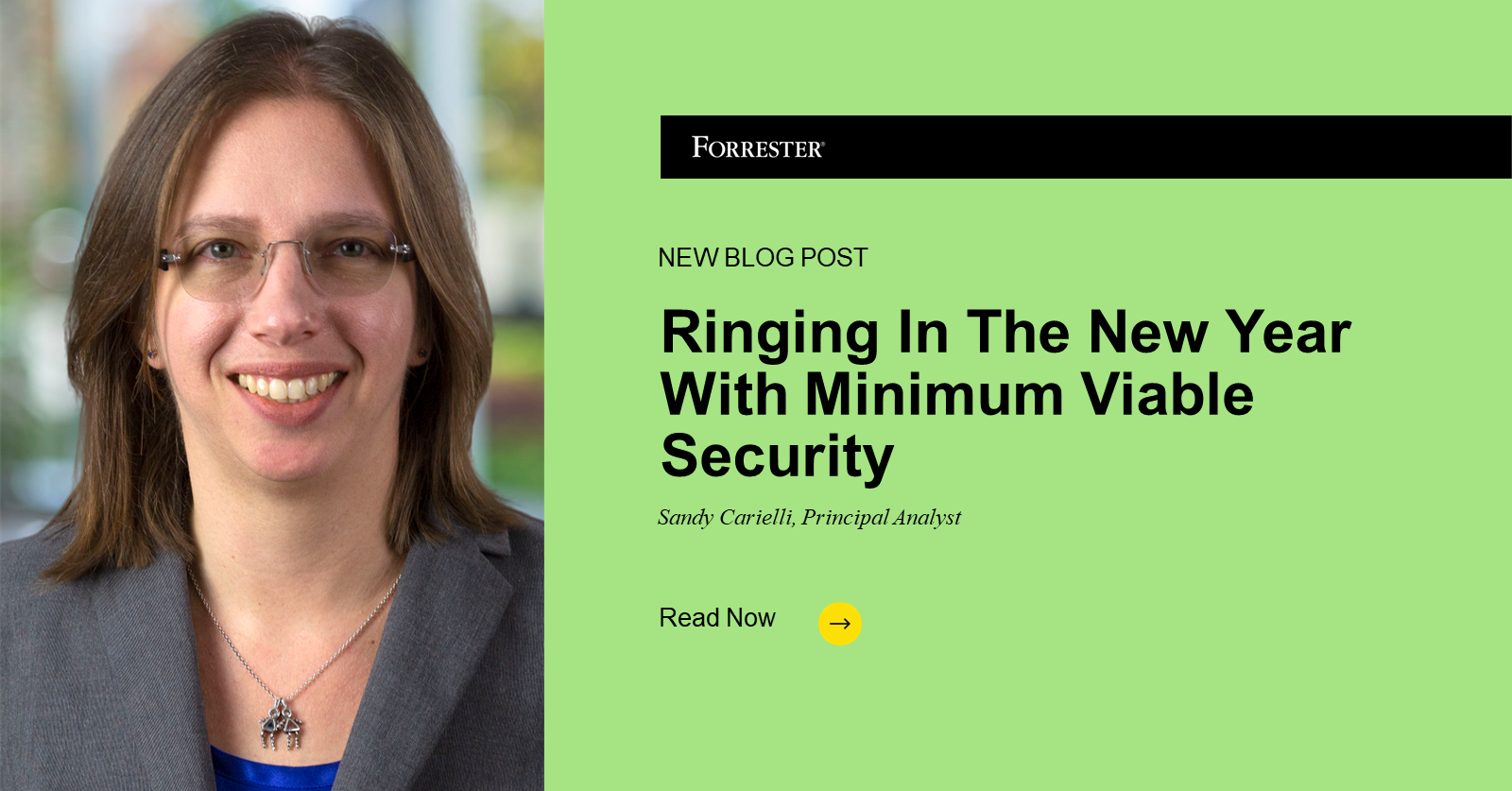Get An Introduction To Minimum Viable Security