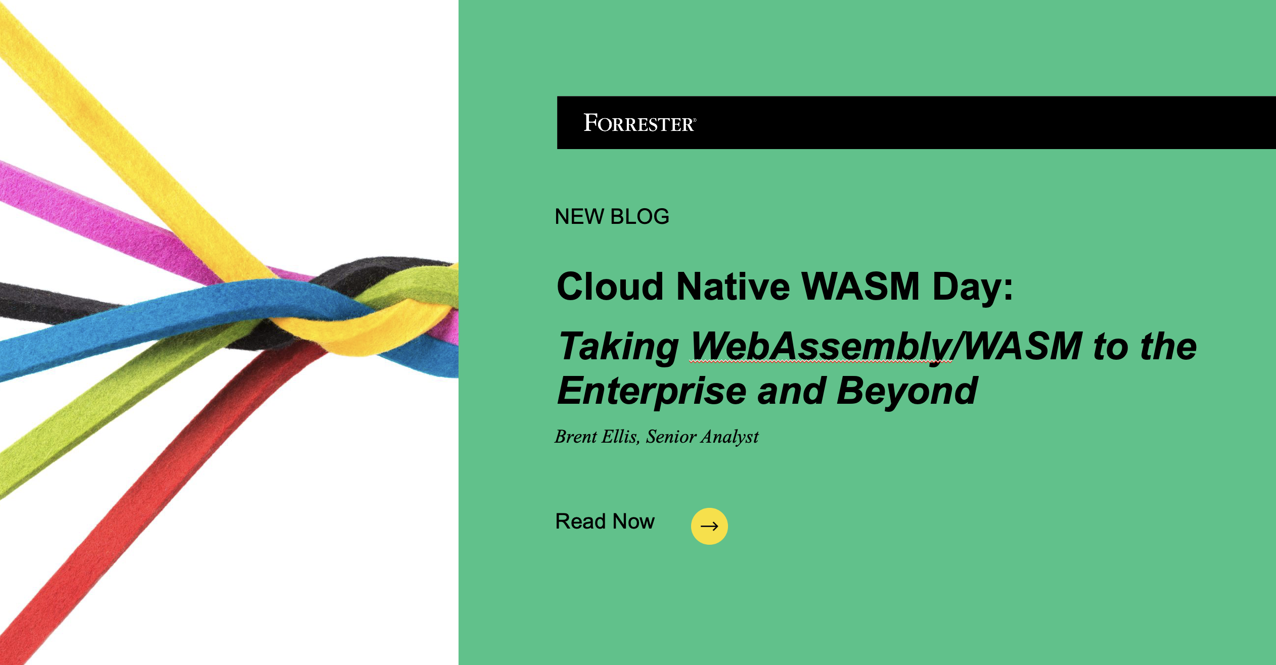 Taking WebAssembly/WASM To The Enterprise And Beyond