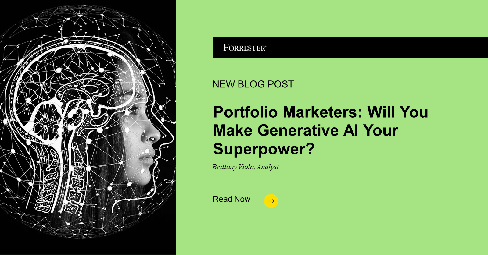 Portfolio Marketers: Will You Make Generative AI Your Superpower?