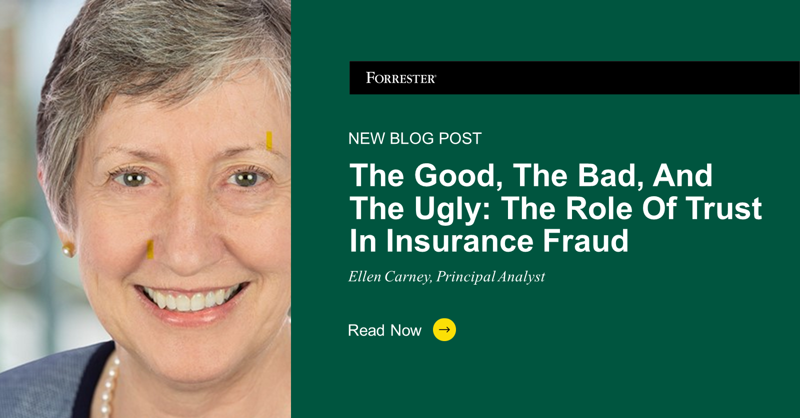 The Role Of Trust In Fighting Insurance Fraud