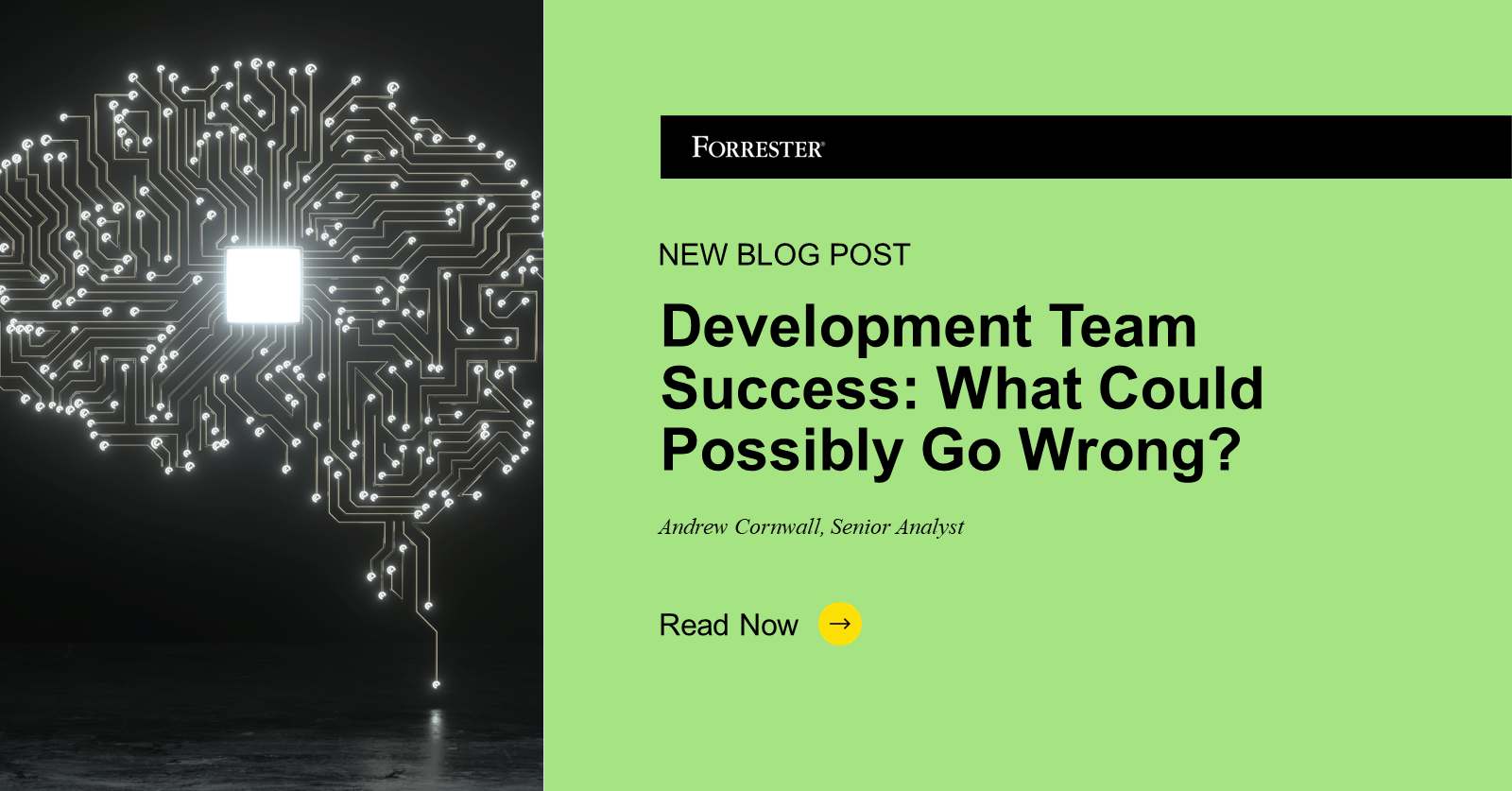 Development Team Success: What Could Possibly Go Wrong?