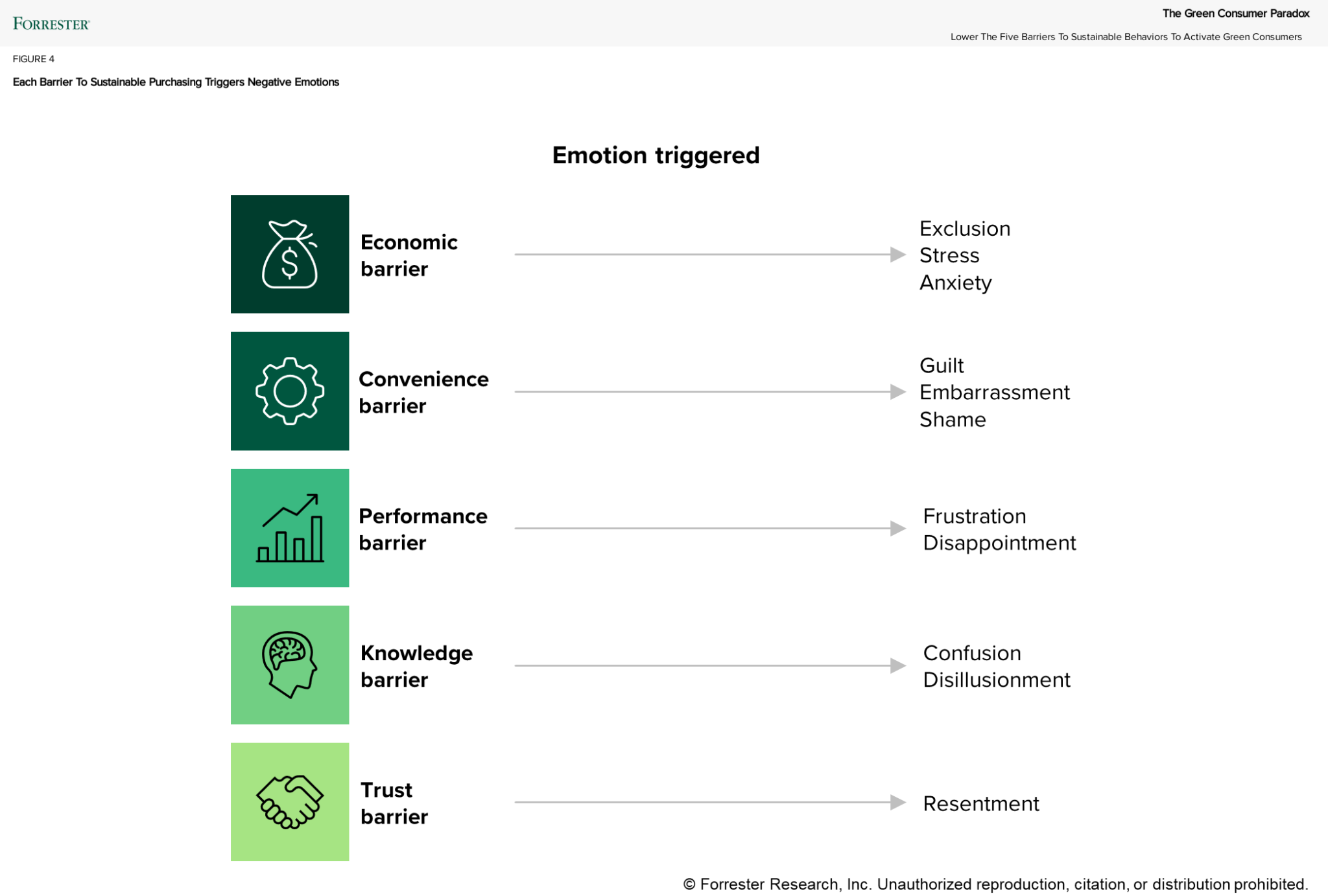 The Green Consumer Paradox