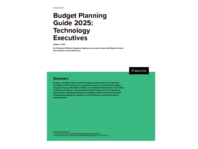 2025 Budget Planning Guide For Technology Executives