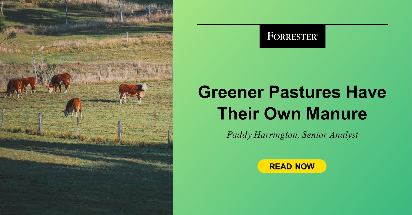 Even Greener Pastures Have Their Own Manure