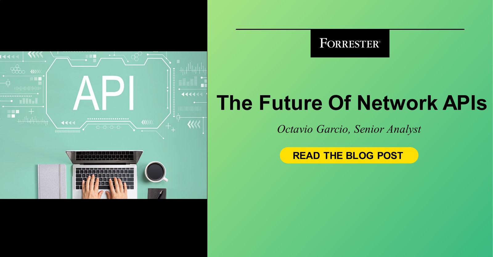 The Future Of Community APIs - The Yorkshire Analysis