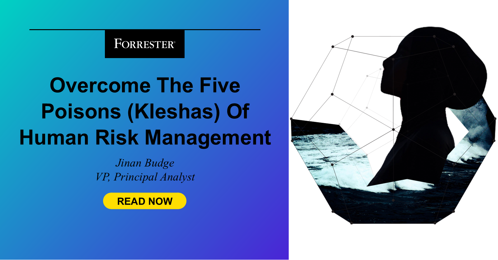 Overcome The Five Poisons Of Human Risk Management