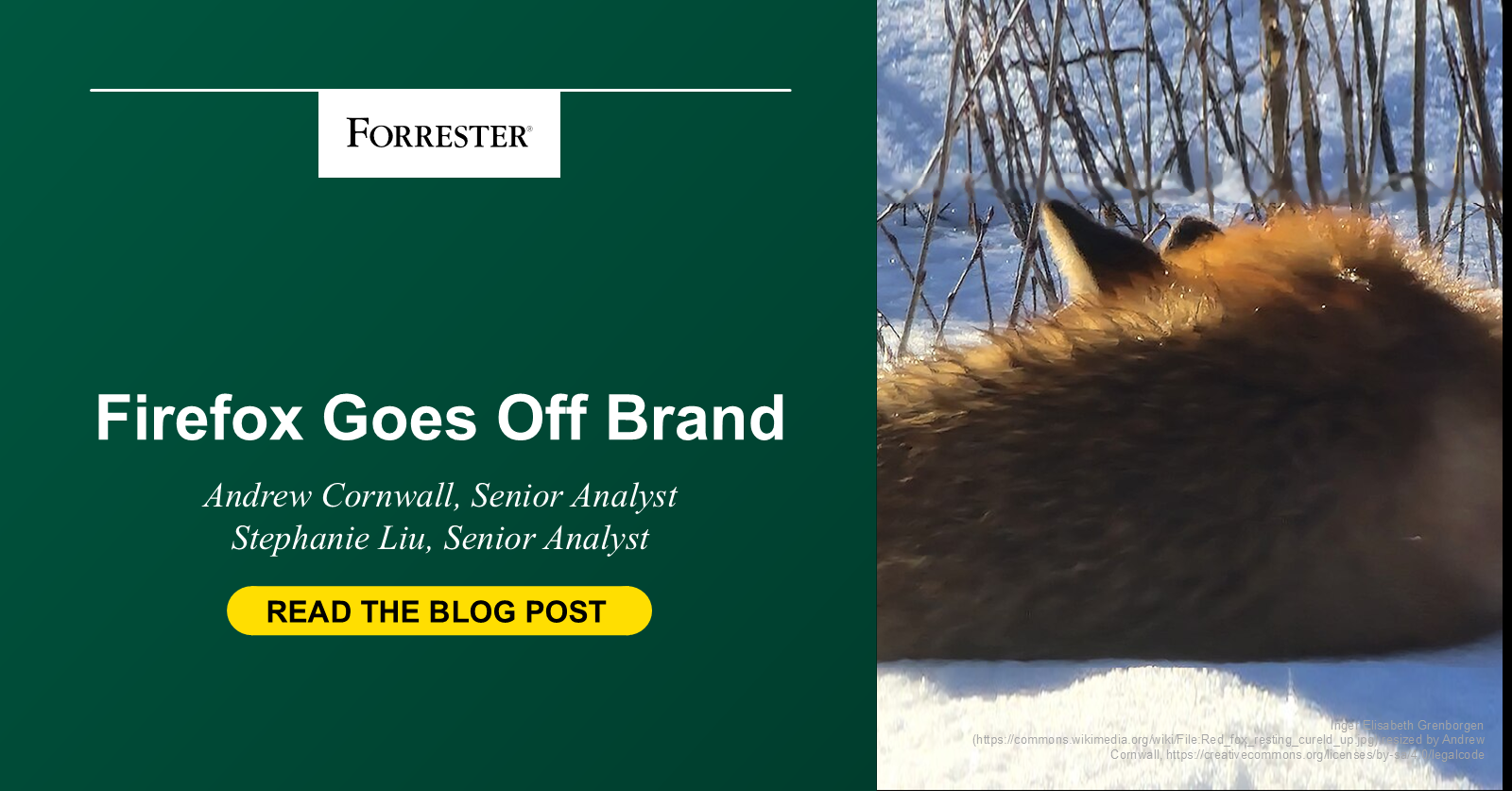 Firefox Goes Off Brand