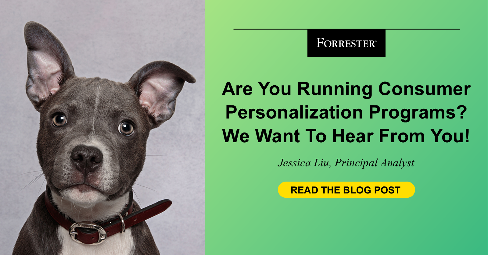 Are You Running Consumer Personalization Programs? We’d Like To Hear ...